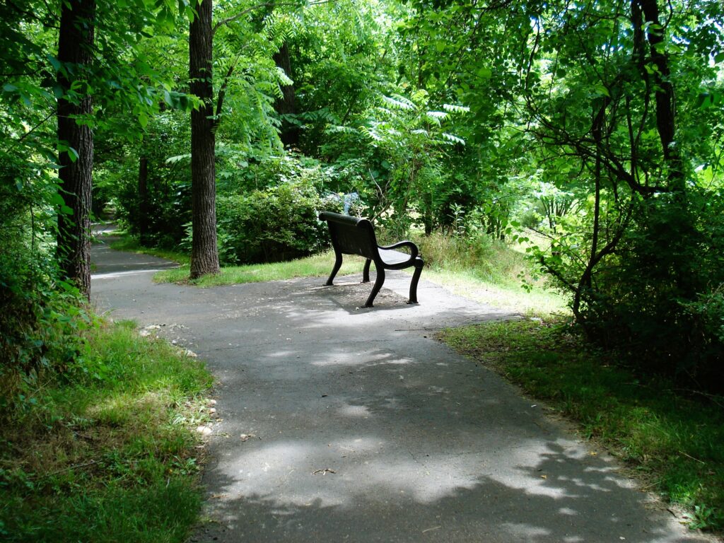 Just Like Nothing (else) on Earth: Broad Run Stream Valley Park – Blue ...